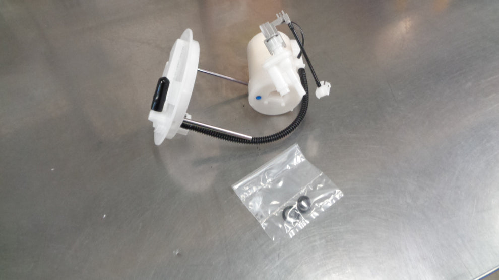 Holden Commodore Genuine Fuel Filter Assembly New Part – Half Price ...